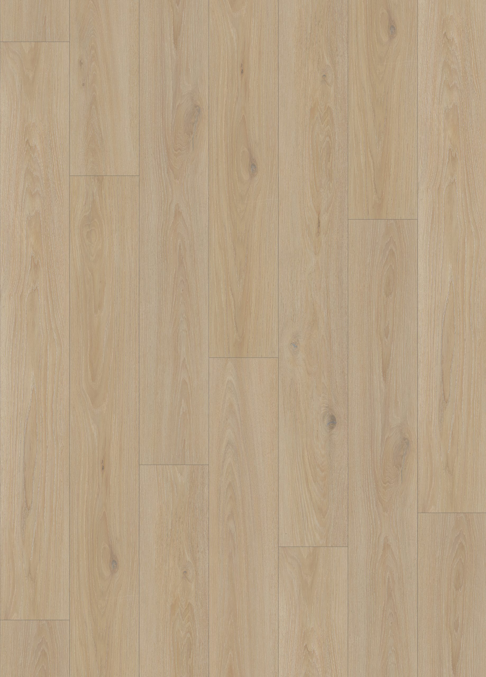 Metropolis - Victoria - Quickstyle